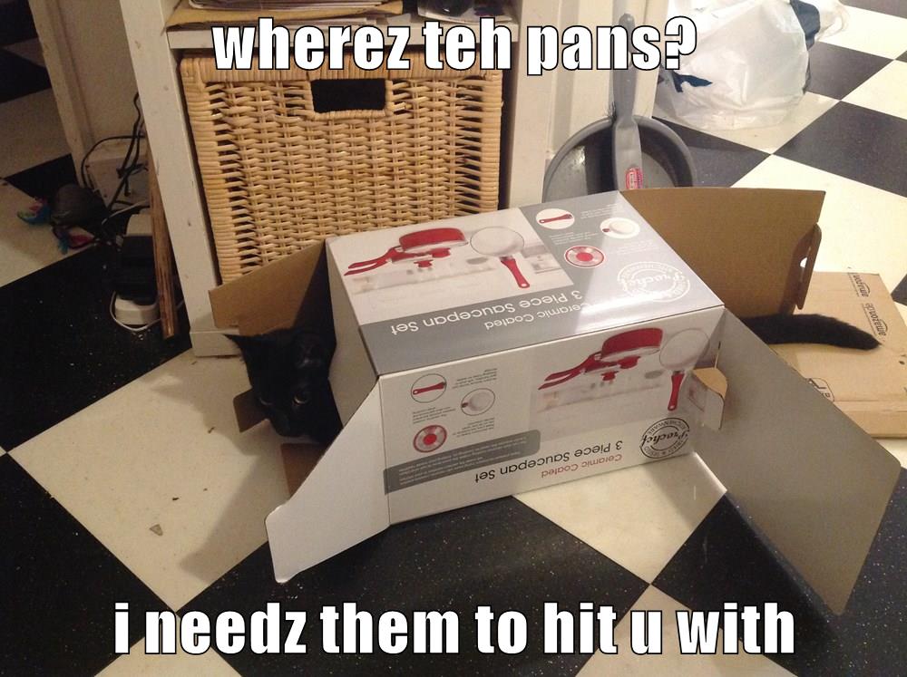 Wherez teh pans? i needz them to hit u with - Lolcats - lol | cat memes ...