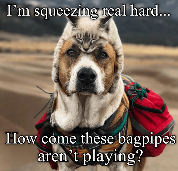 Maybe I should have worn a kilt. - Lolcats - lol | cat memes | funny ...