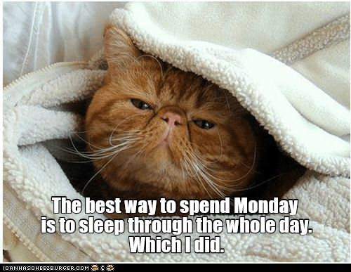 You can do it, if you just try hard enough - Lolcats - lol | cat memes ...