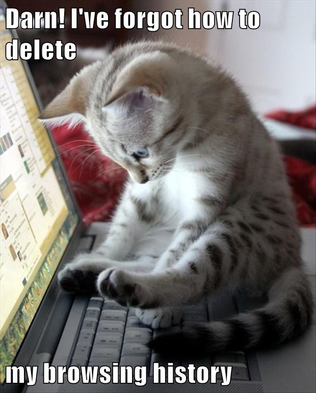 Darn! I've forgot how to delete my browsing history - Lolcats - lol ...