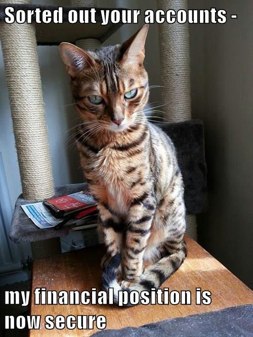 Sorted out your accounts - my financial position is now secure ...