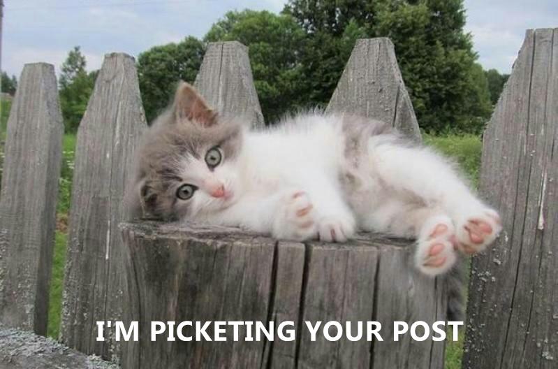 I'M PICKETING YOUR POST - Lolcats - lol | cat memes | funny cats ...