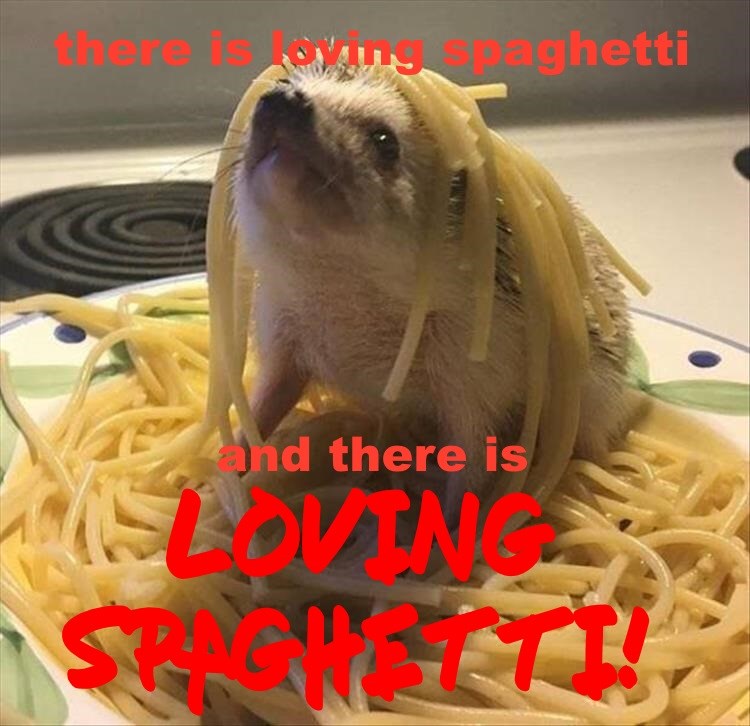 Loving spaghetti - Animal Comedy - Animal Comedy, funny animals, animal ...