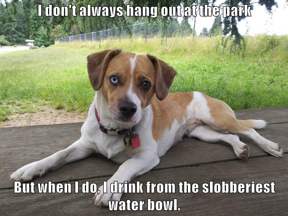 I don't always hang out at the park But when I do, I drink from the ...