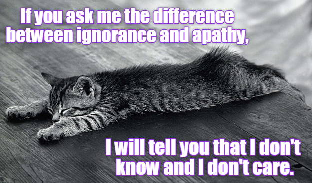 So...no difference? - Lolcats - lol | cat memes | funny cats | funny ...