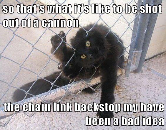 so that's what it's like to be shot out of a cannon the chain link ...