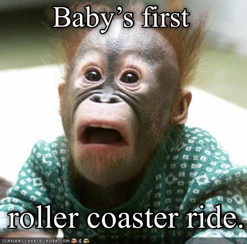 Just wait til he goes through the Loop-the-Loop. - Animal Comedy ...