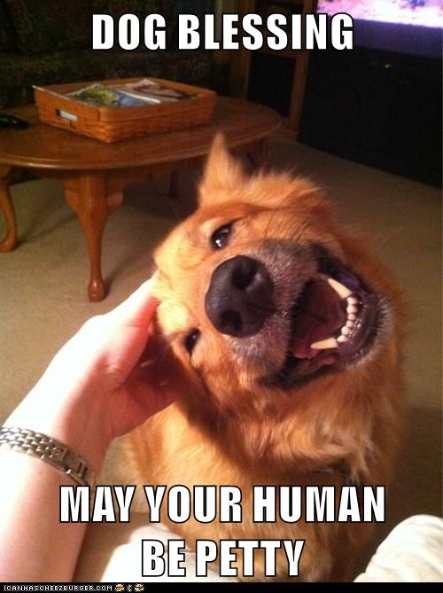 DOG BLESSING MAY YOUR HUMAN BE PETTY - I Has A Hotdog - Dog Pictures ...