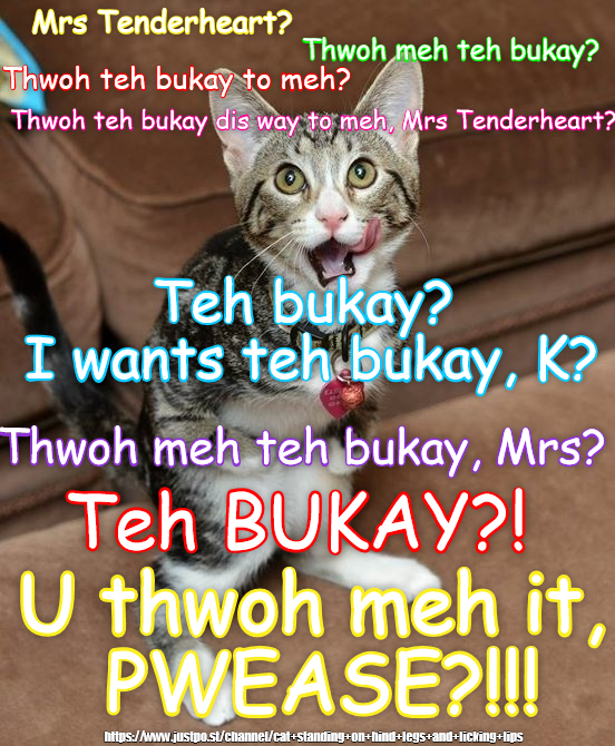 Just a widdle hint wut U mite do oan teh Big Day? - Lolcats - lol | cat ...