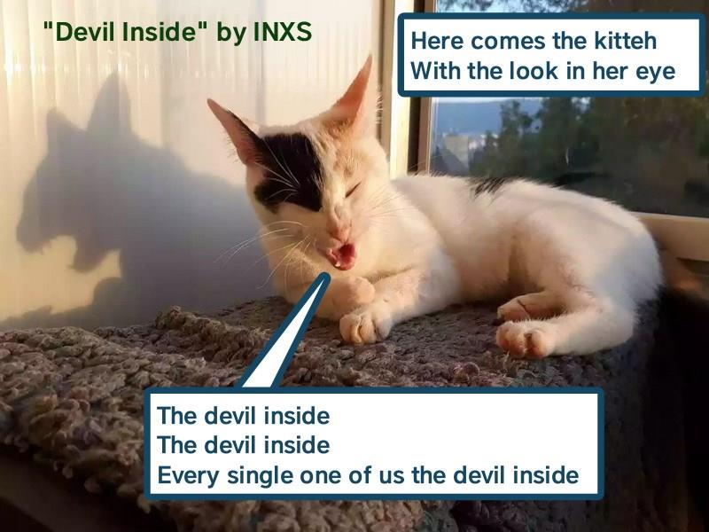 "Devil Inside" by INXS - Lolcats - lol | cat memes | funny cats | funny ...