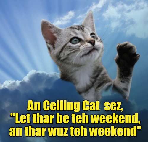 Weekend!! - Lolcats - lol | cat memes | funny cats | funny cat pictures ...