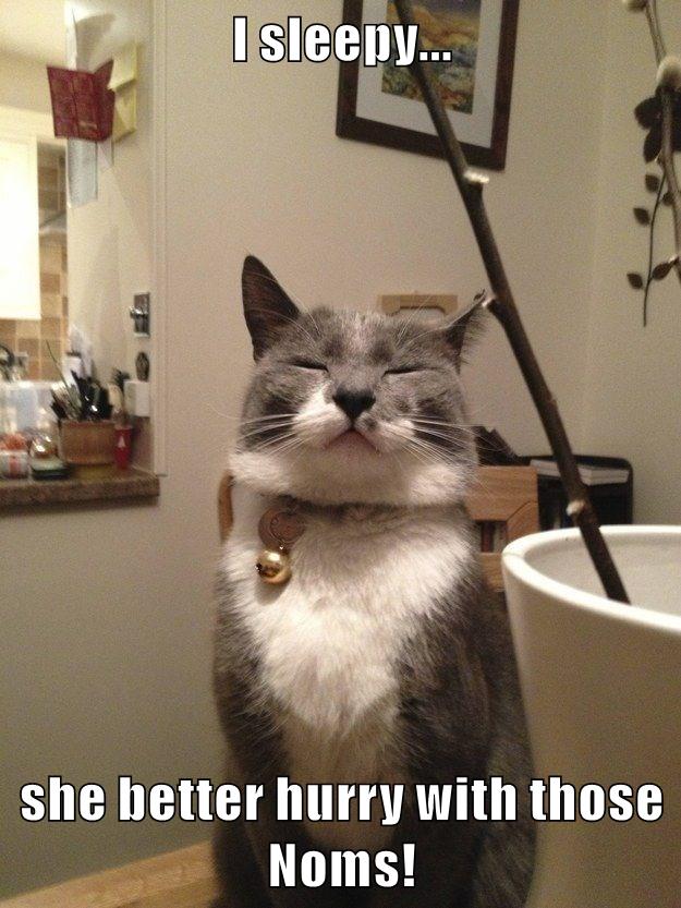 Better hurry - Lolcats - lol | cat memes | funny cats | funny cat ...