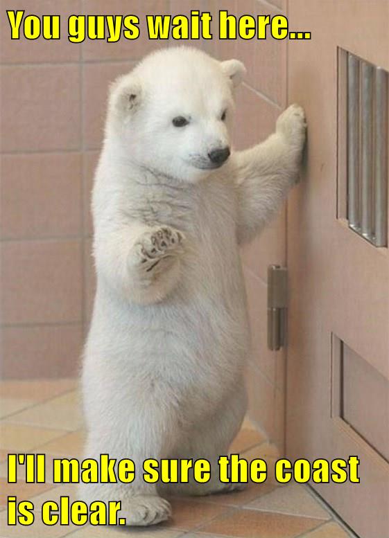 You guys wait here... I'll make sure the coast is clear. - Animal ...