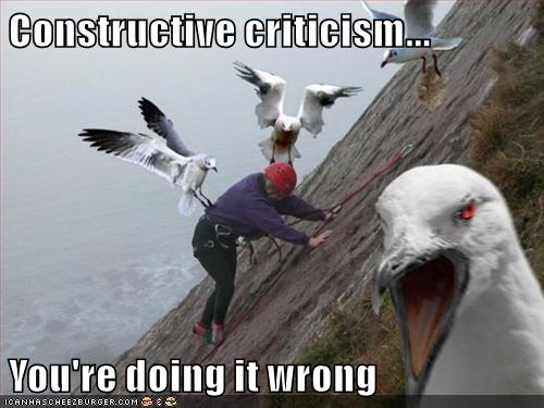 Constructive criticism... You're doing it wrong - Animal Comedy ...