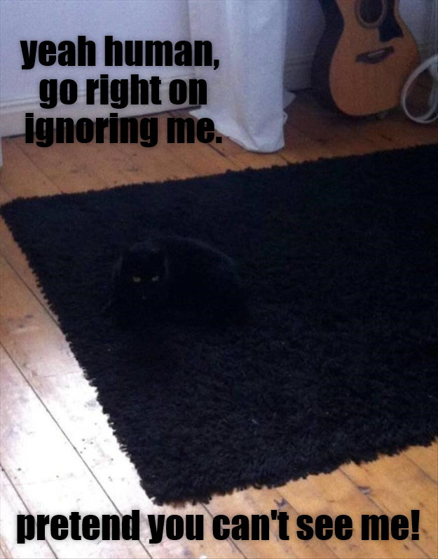 I'll ignore you right back! - Lolcats - lol | cat memes | funny cats ...