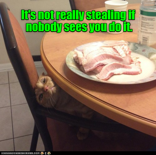 And the dog will look guilty and take the blame - Lolcats - lol | cat ...