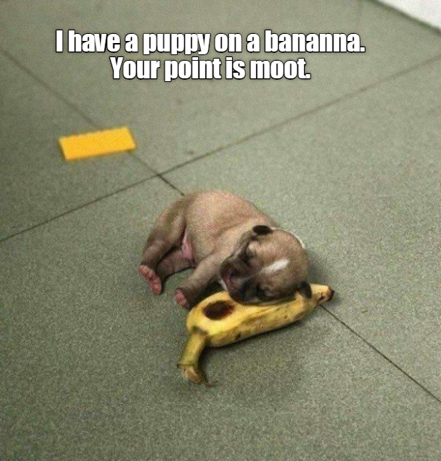 A puppy on banana - I Has A Hotdog - Dog Pictures - Funny pictures of ...