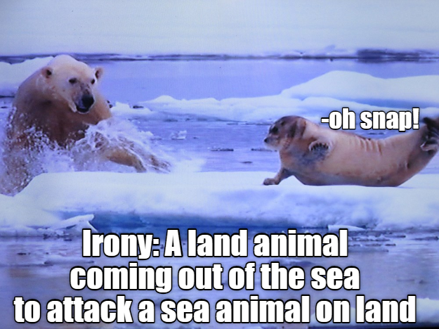 Irony can seal your fate - Animal Comedy - Animal Comedy, funny animals ...