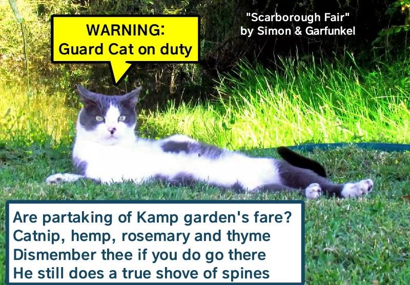 "Scarborough Fair" by Simon & Garfunkel - Lolcats - lol | cat memes ...