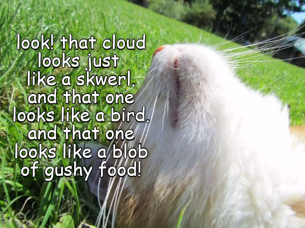 I think I've seen that cloud - Lolcats - lol | cat memes | funny cats ...