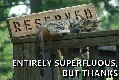 ENTIRELY SUPERFLUOUS, BUT THANKS - Lolcats - lol | cat memes | funny ...