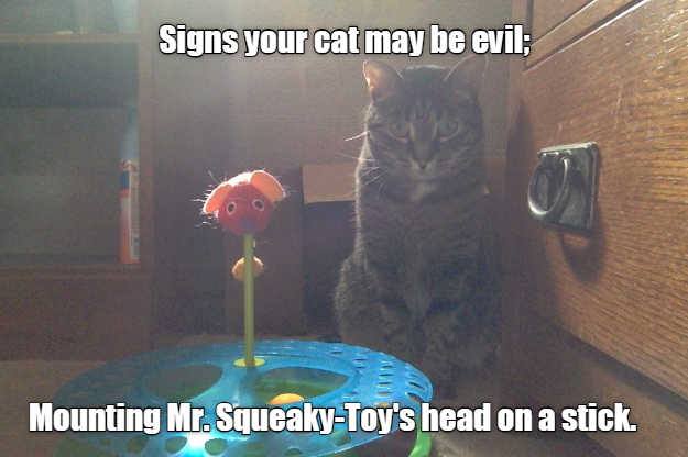 I say it's to scare the mice... - Lolcats - lol | cat memes | funny ...
