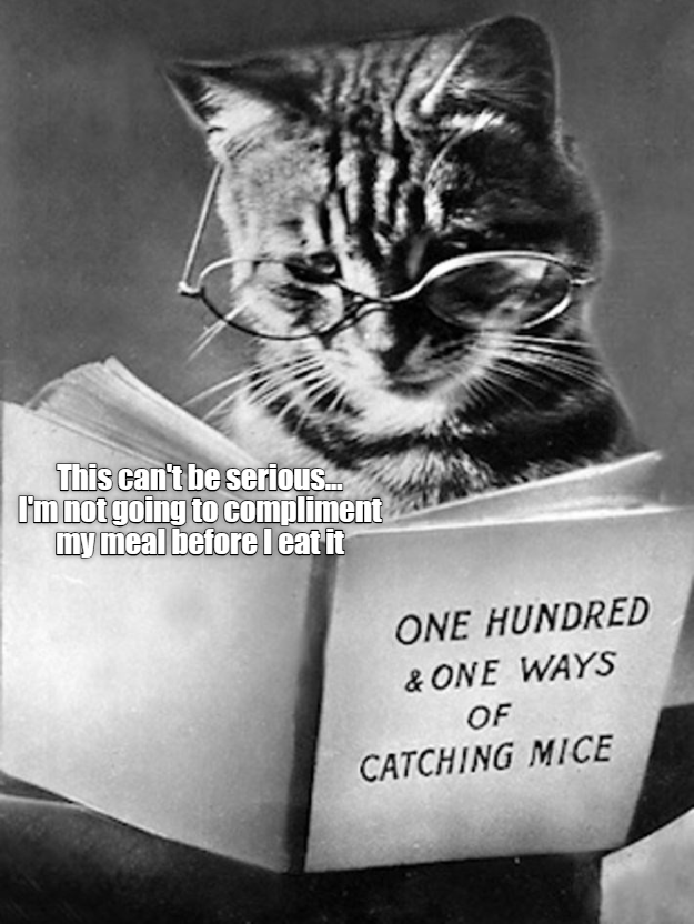Way #24 - Lolcats - lol | cat memes | funny cats | funny cat pictures ...