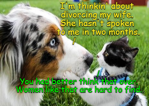 Advice from your bro - I Has A Hotdog - Dog Pictures - Funny pictures ...