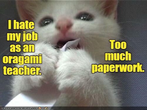 I need a new job - Lolcats - lol | cat memes | funny cats | funny cat ...