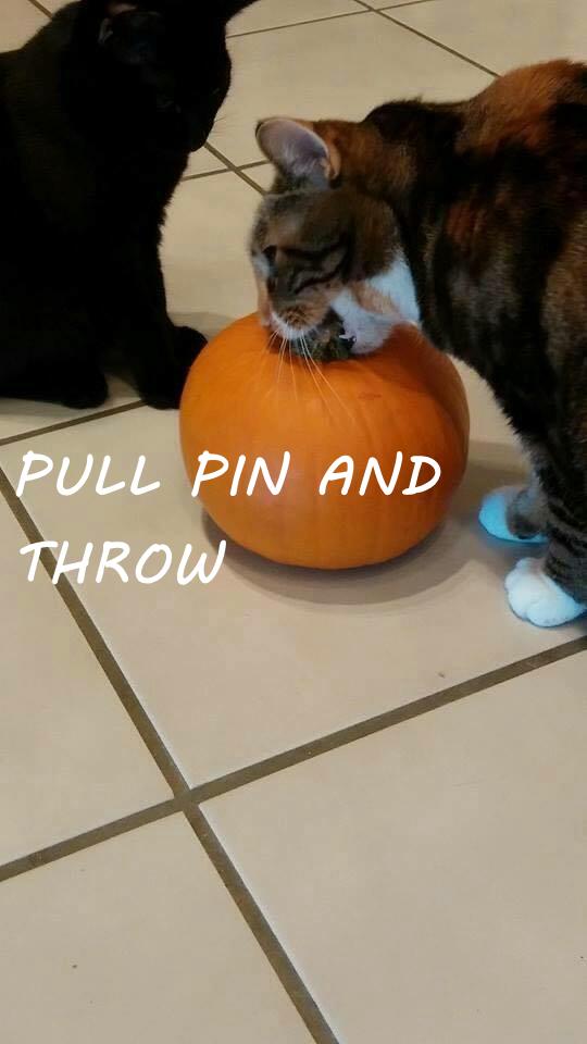 PULL PIN AND THROW - Lolcats - lol | cat memes | funny cats | funny cat ...