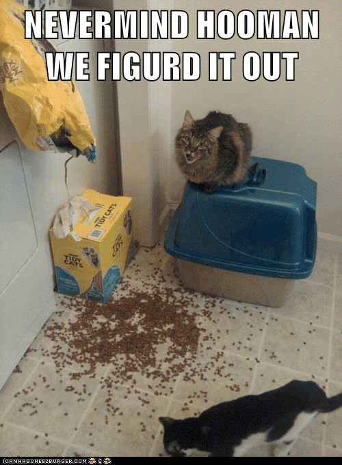 NEVERMIND HOOMAN WE FIGURD IT OUT - Lolcats - lol | cat memes | funny ...