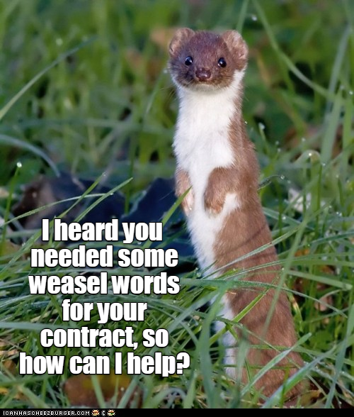 Need some help? - Animal Comedy - Animal Comedy, funny animals, animal gifs