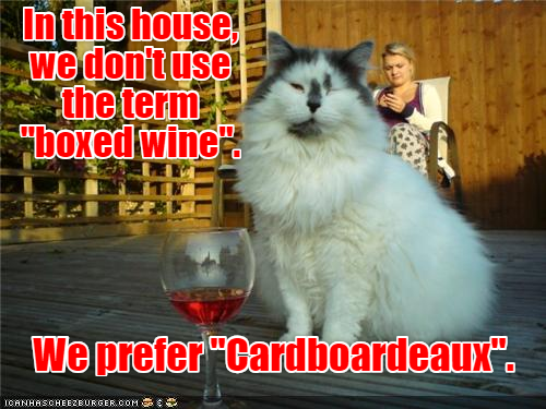 Being the snobs that we are... - Lolcats - lol | cat memes | funny cats ...