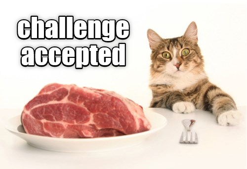 Challenge accepted - Lolcats - lol | cat memes | funny cats | funny cat ...