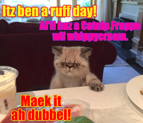 and make it snappy! - Lolcats - lol | cat memes | funny cats | funny ...