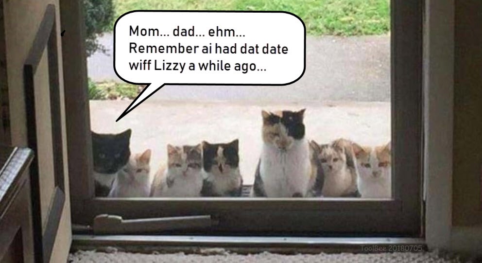 Gess Whut... - Lolcats - lol | cat memes | funny cats | funny cat ...