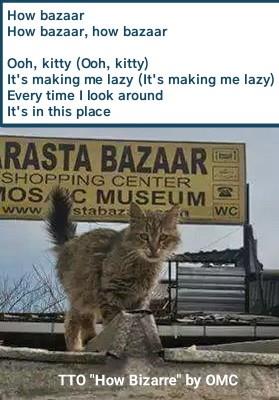 "How Bazaar" (TTO "How Bizarre" by OMC) - Lolcats - lol | cat memes ...