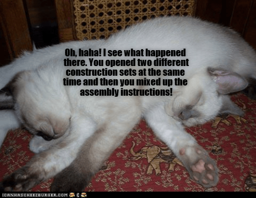 That's why you think you've got a spare tail and some extra paws ...