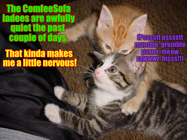 Wonder What They're Plotting? - Lolcats - lol | cat memes | funny cats ...