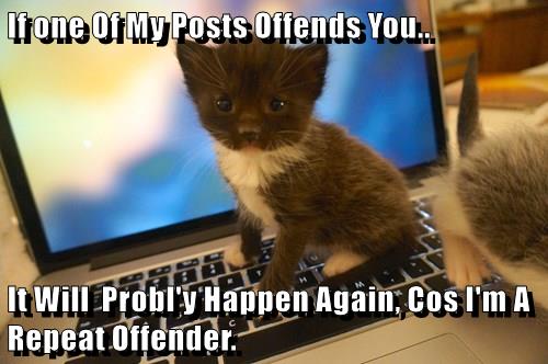 A Repeat Offender. - Lolcats - lol | cat memes | funny cats | funny cat ...