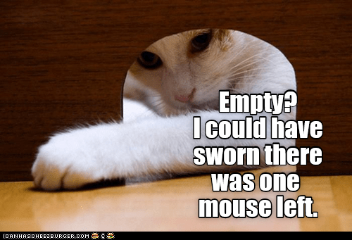 Did you take my last mouse human? - Lolcats - lol | cat memes | funny ...