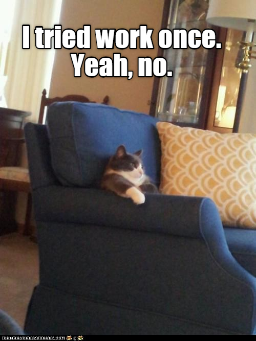 Yeah, no. - Lolcats - lol | cat memes | funny cats | funny cat pictures ...