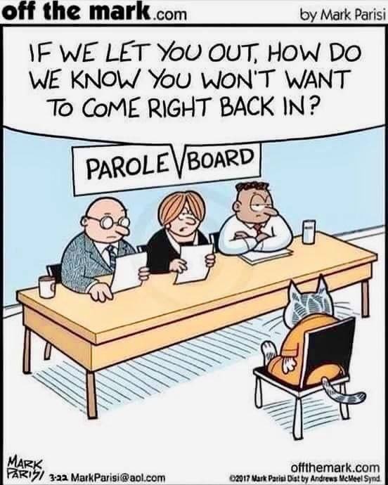 Parole Board - I Can Has Cheezburger?