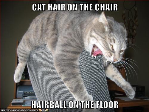 CAT HAIR ON THE CHAIR HAIRBALL ON THE FLOOR - Lolcats - lol | cat memes ...