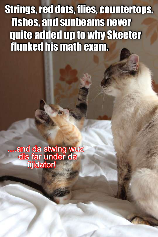 Mom asks a simple question, answer takes 10 min - Lolcats - lol | cat ...