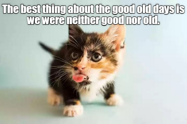 True, that... - Lolcats - lol | cat memes | funny cats | funny cat ...