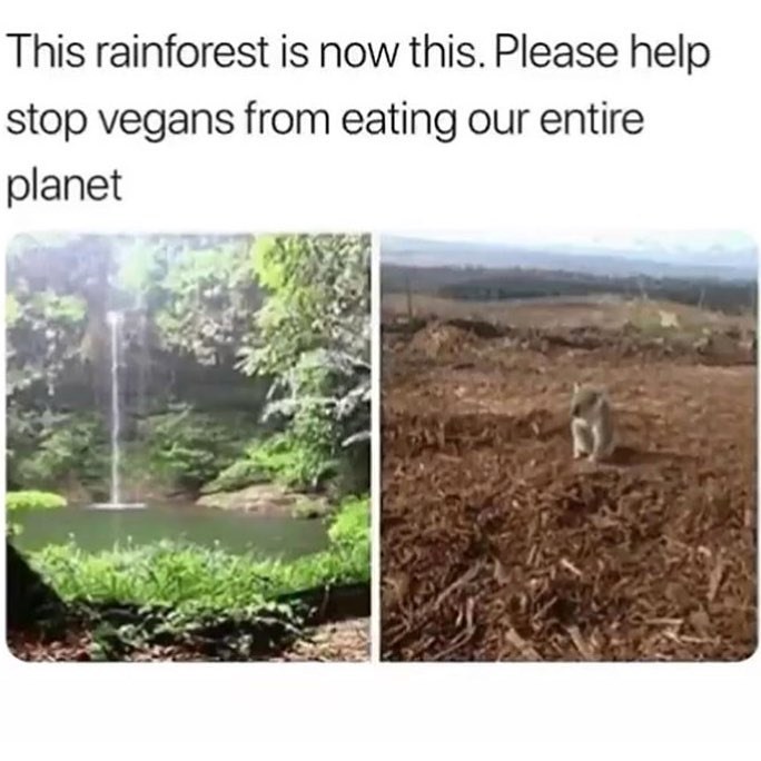 Memebase - rainforest - All Your Memes In Our Base - Funny Memes ...