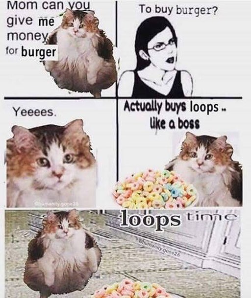 Cat Needs Loops - Memebase - Funny Memes