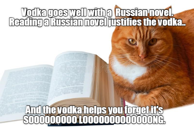 That's a cheap shot... - Lolcats - lol | cat memes | funny cats | funny ...