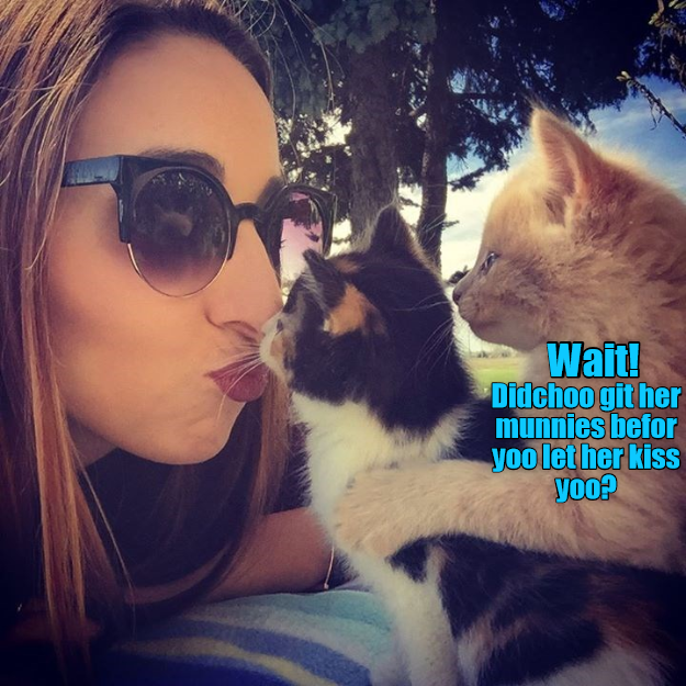 Can never be too cautious - Lolcats - lol | cat memes | funny cats ...